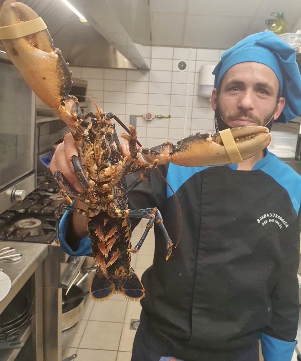 El bogavante azul es uno de los mariscos más valorados de la ...